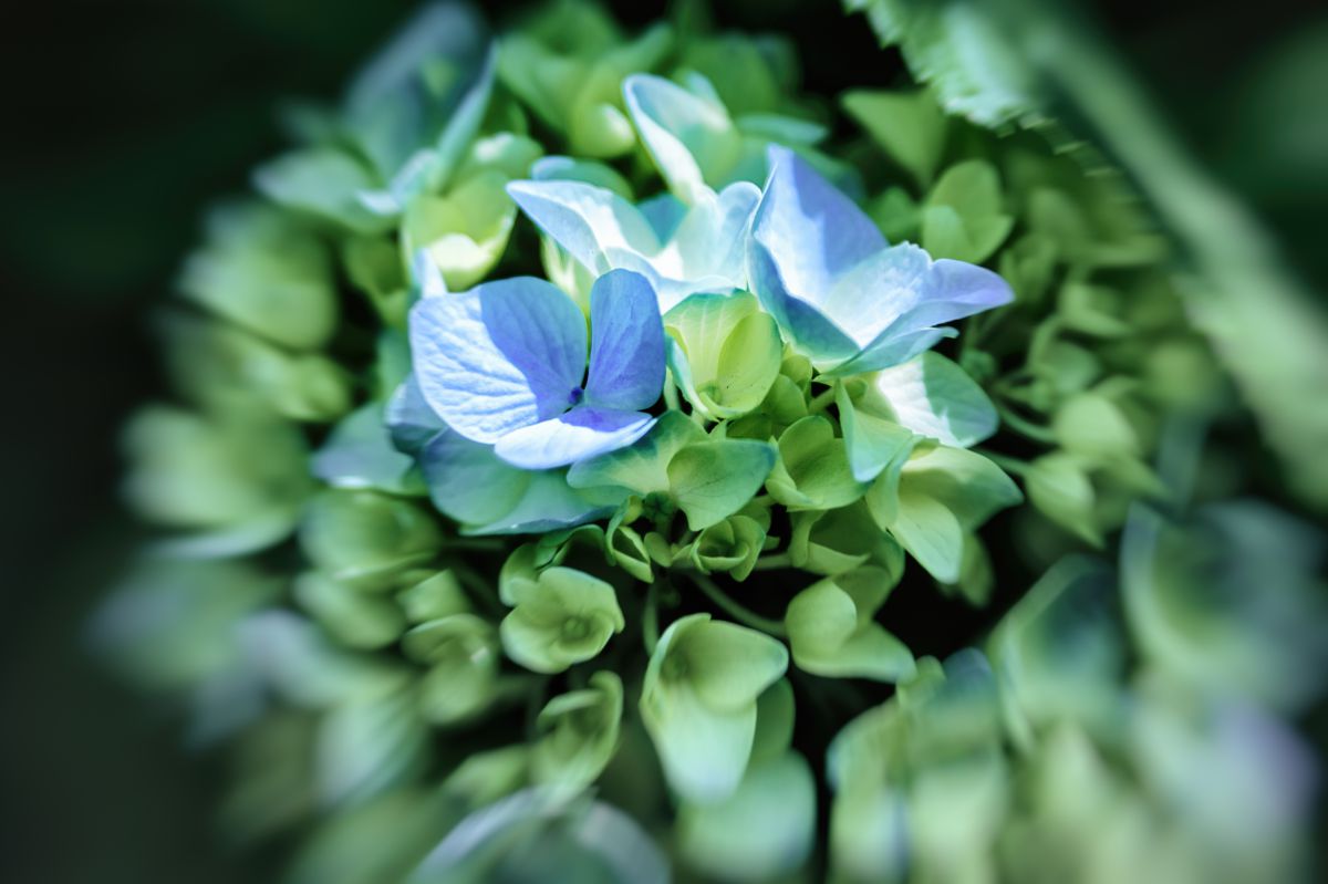 光の中で | GANREF