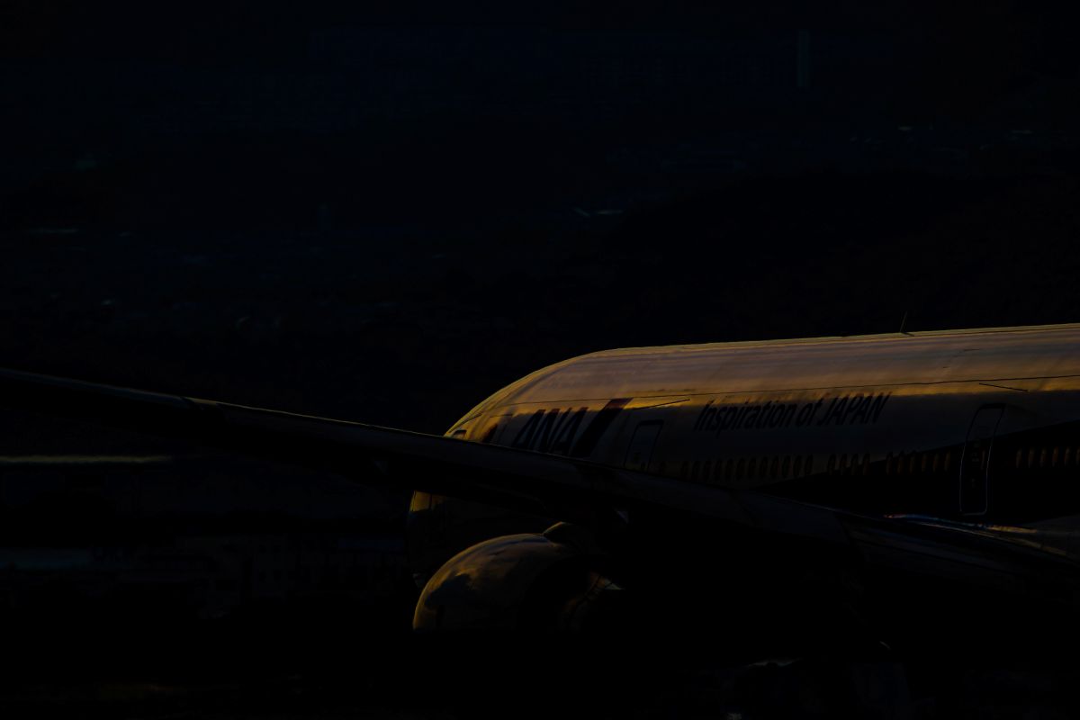 Invisible Wing | GANREF