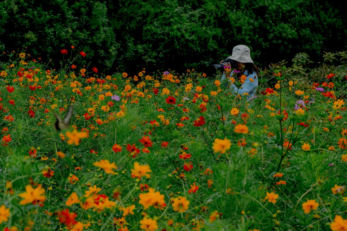 Lady Sniper | GANREF