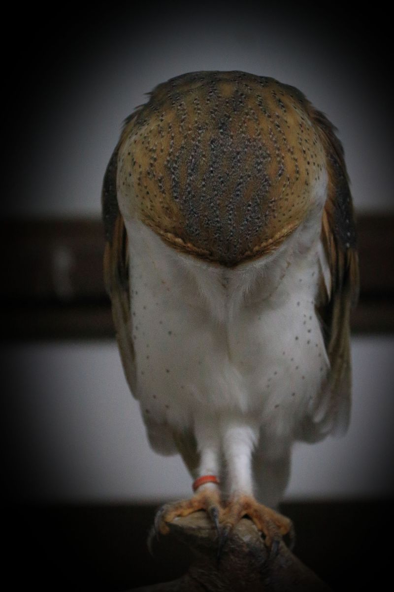 Sleep soundly 〜組写真3〜 | GANREF