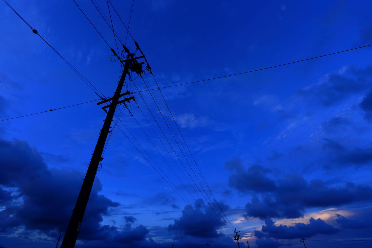 Spider Silk | GANREF