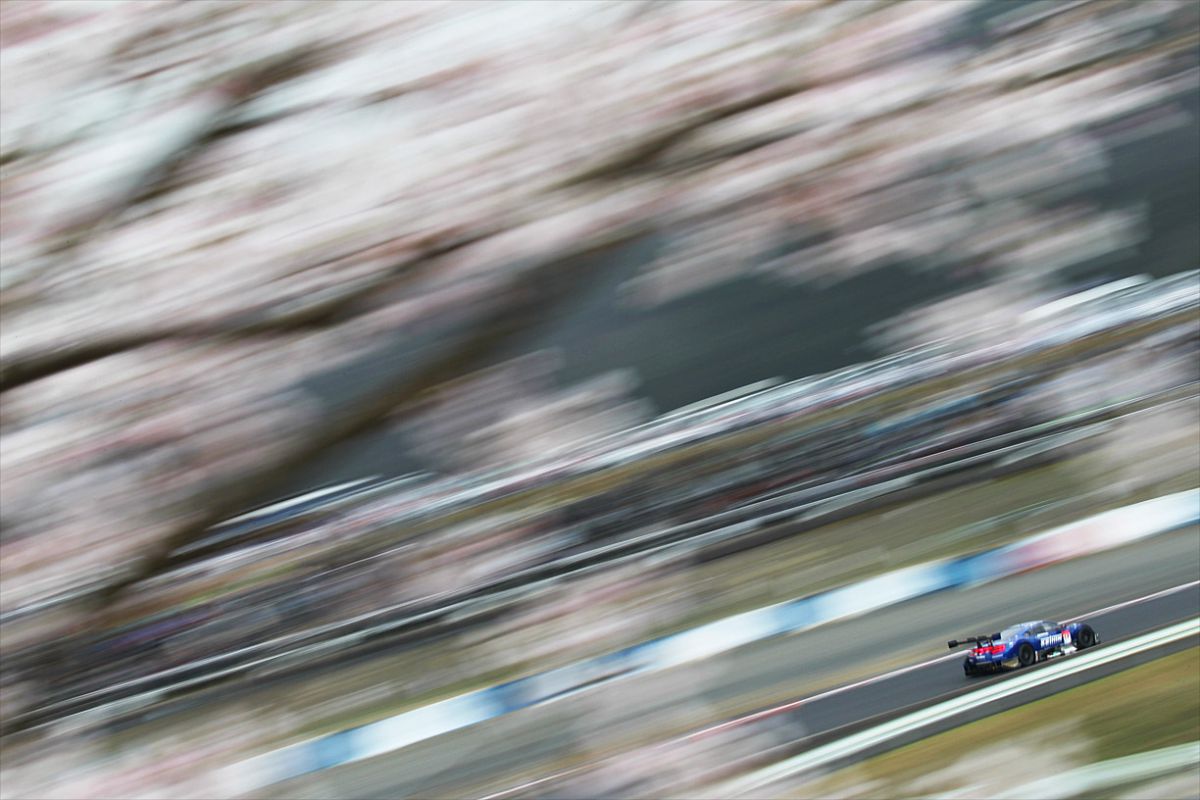 1D4_2240.jpg | GANREF