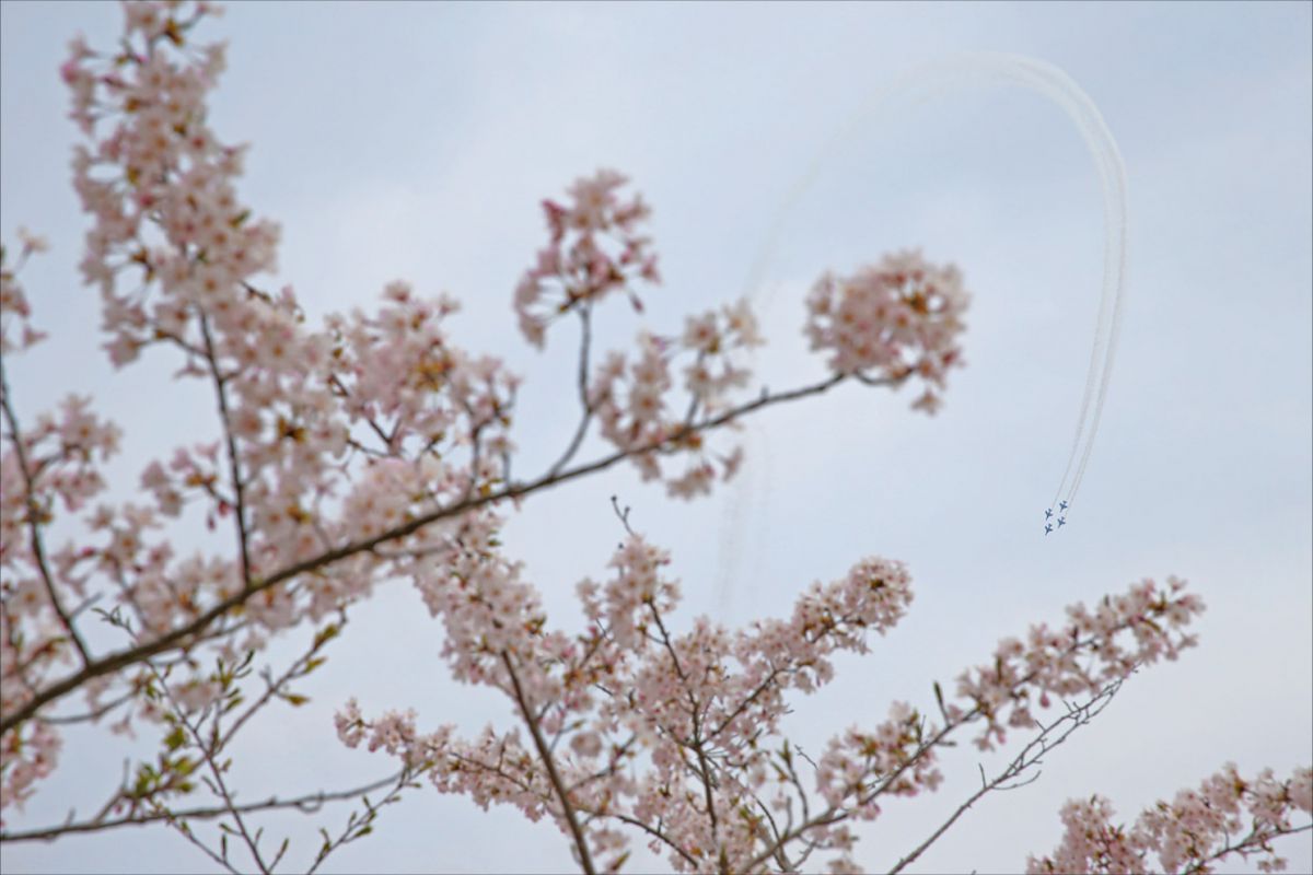 1DX_0178.jpg | GANREF