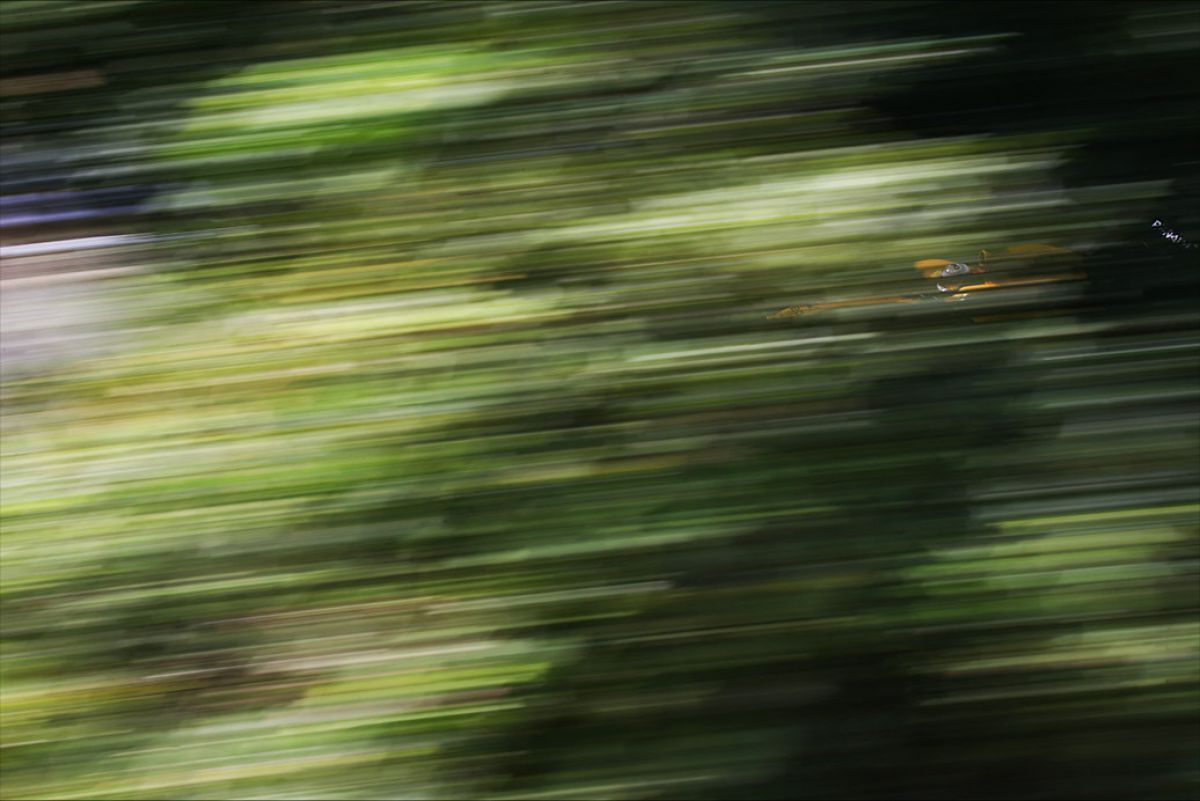 1DX_0714.jpg | GANREF