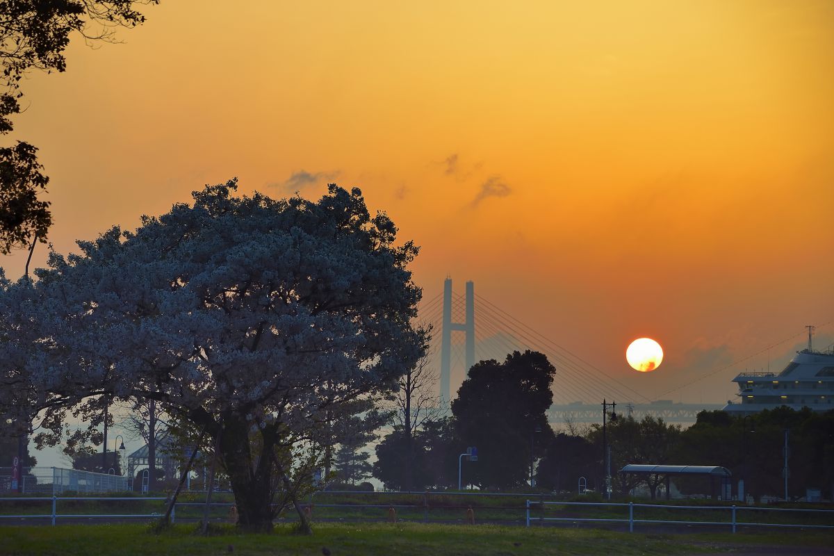 Sunrise landscape | GANREF