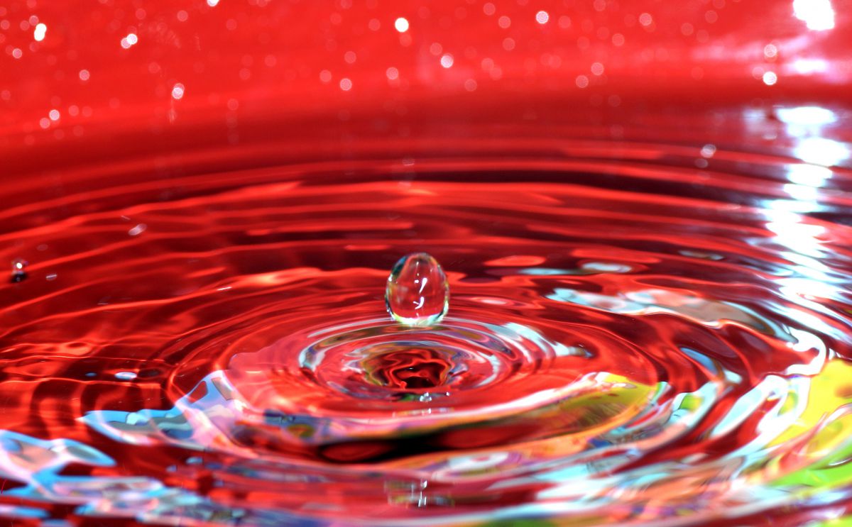 first drops | GANREF