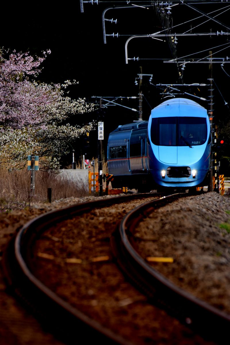 ロマンスカー・MSE 2015桜 | GANREF