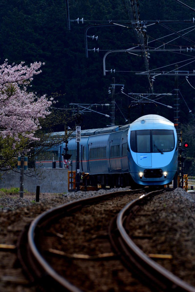 ロマンスカー・MSE 2016桜 | GANREF