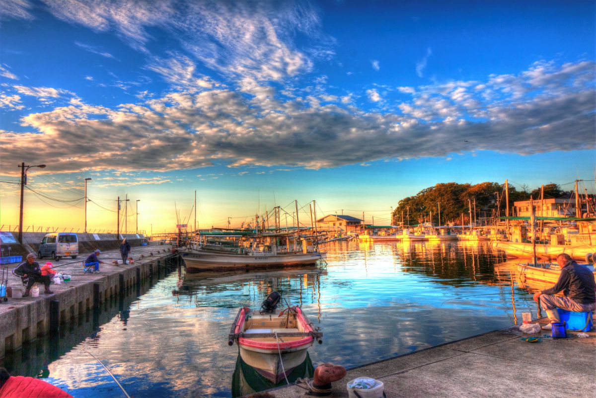 Fish catch!! | GANREF