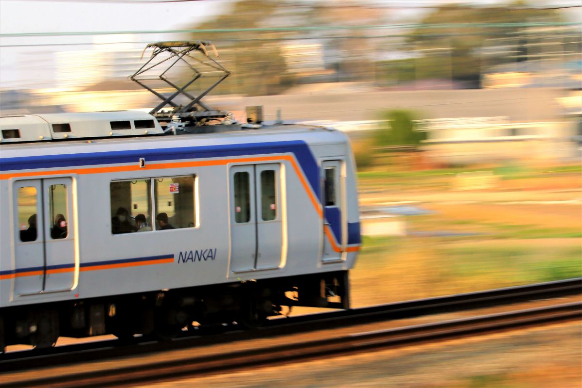 Spring train♬♪♬ | GANREF