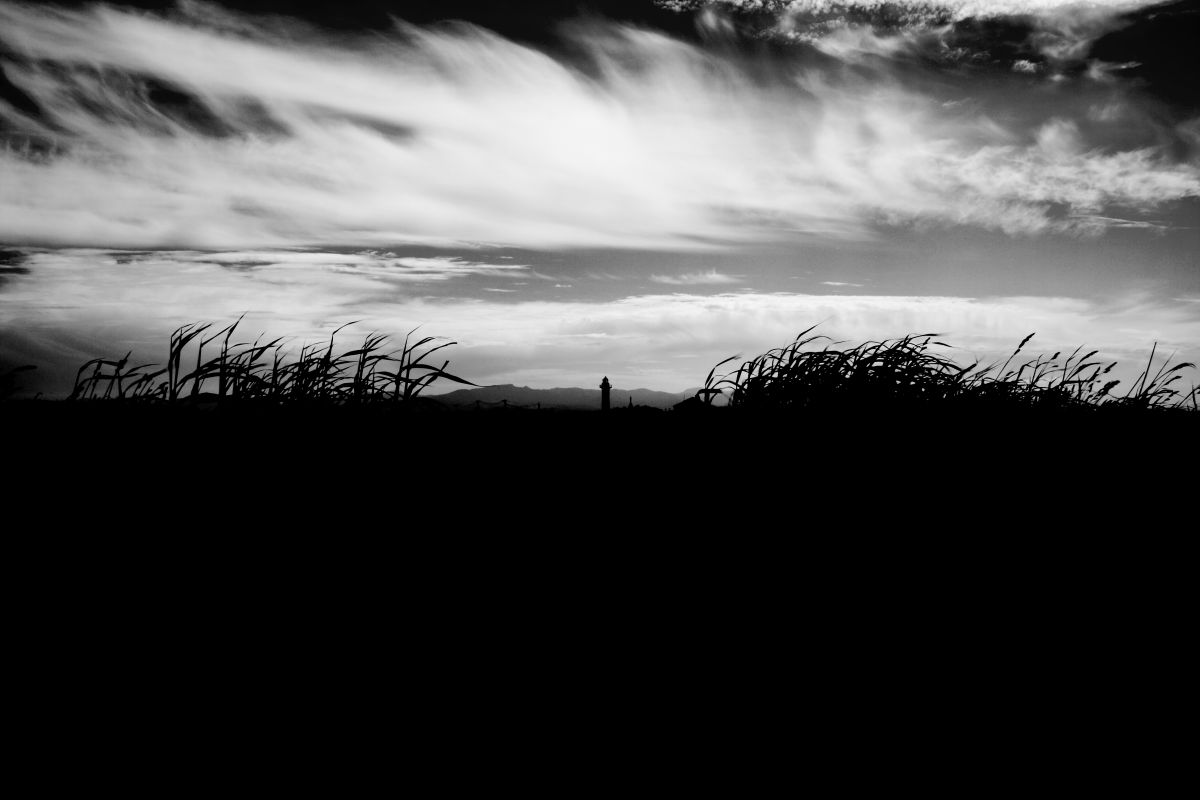 『direction』 | GANREF