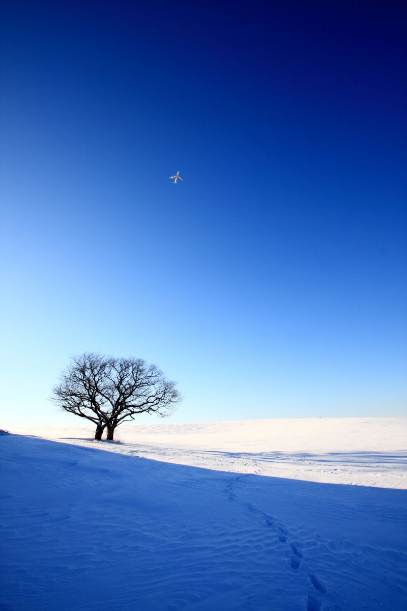 Good luck！ | GANREF