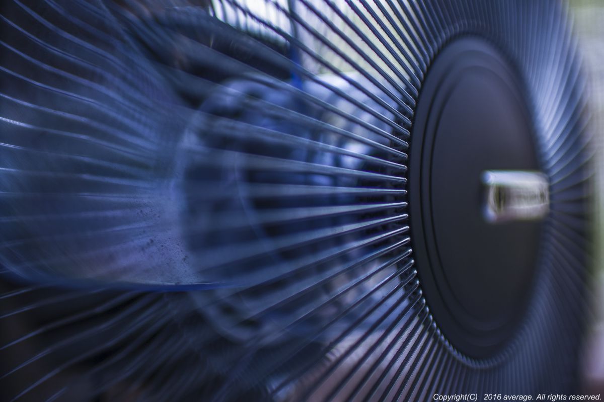 Goodbye Summer | GANREF