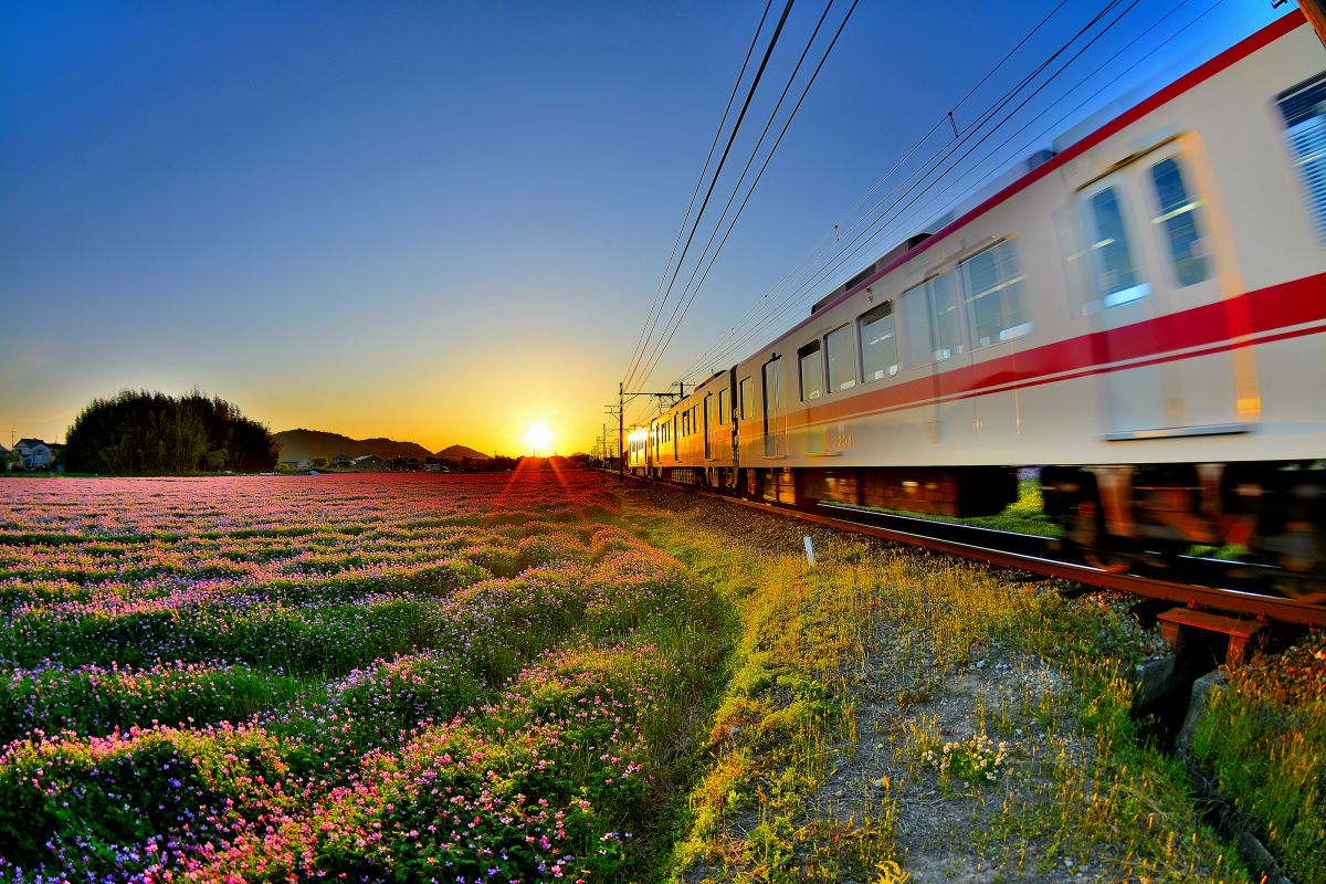 DREAM TRAIN | GANREF