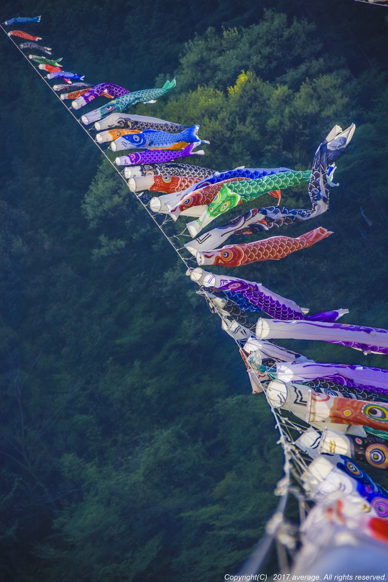 屋根より高く | GANREF