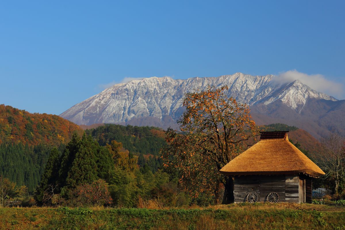 IMG_9145.JPG | GANREF