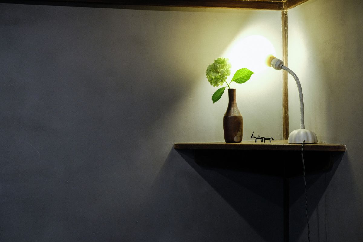 Lumière dans un coin | GANREF