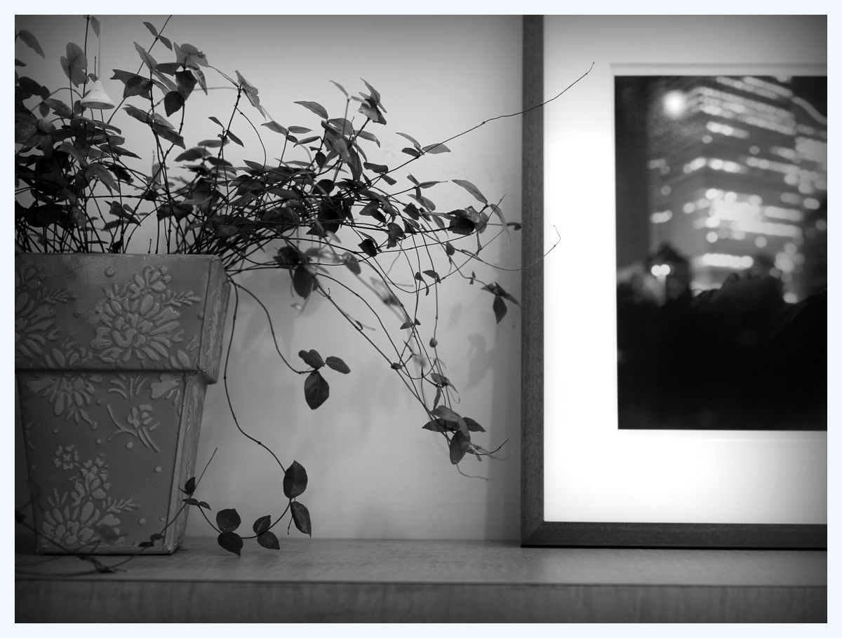 Frame in Frame | GANREF