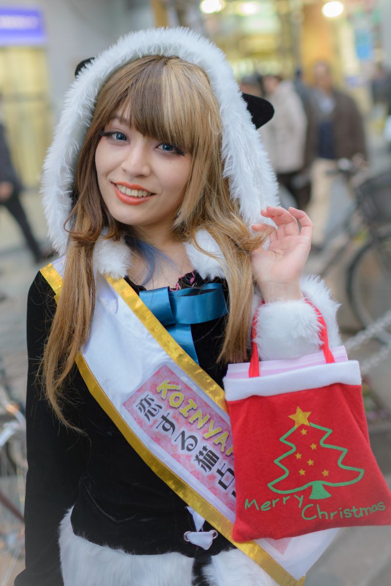 新宿の猫 | GANREF