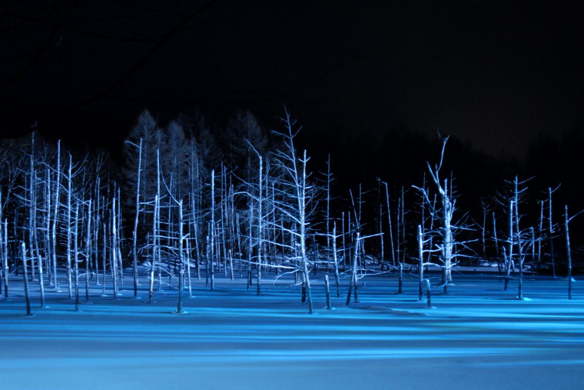 青い舞台。2014 | GANREF