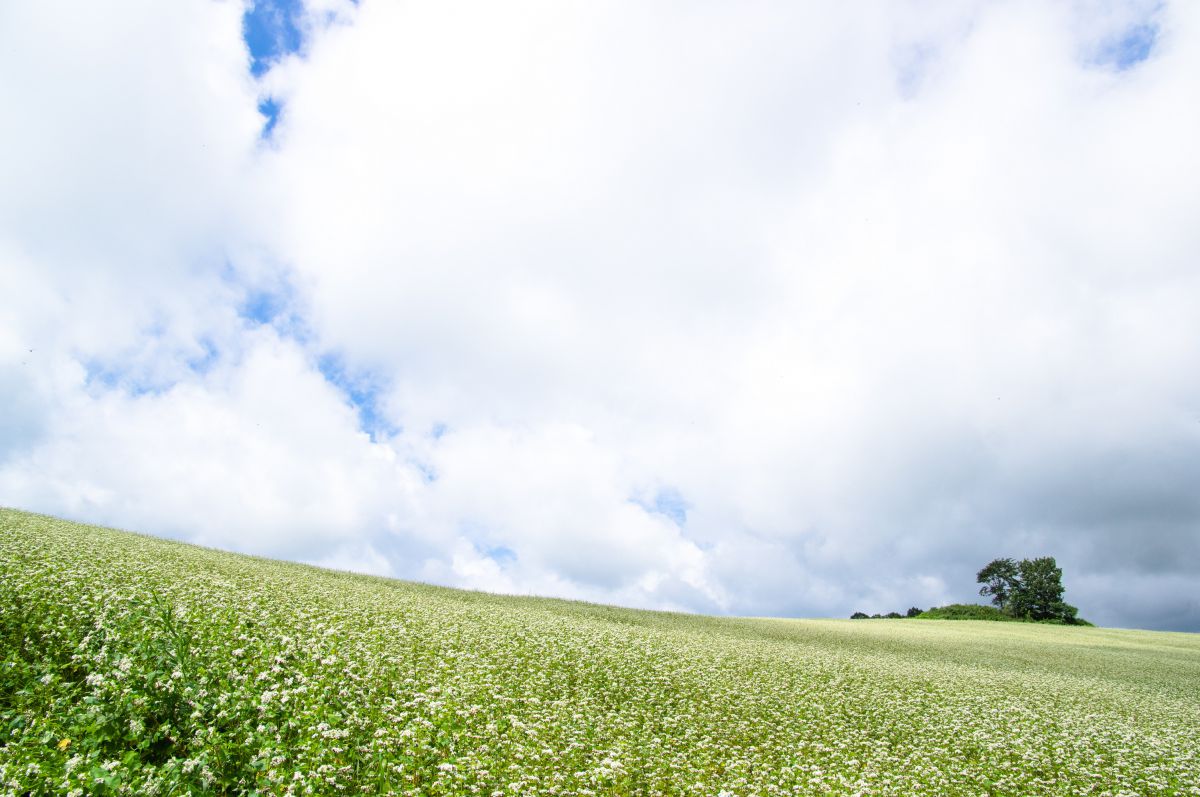 雲のすきま | GANREF
