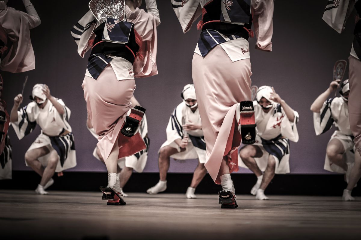 『しとやかに流れるように vol.6』 | GANREF