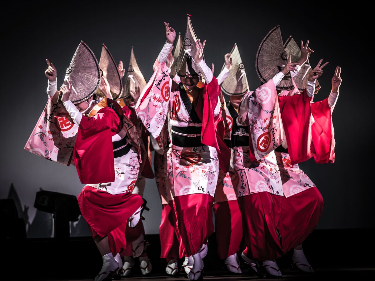 優雅に美しく 13 | GANREF