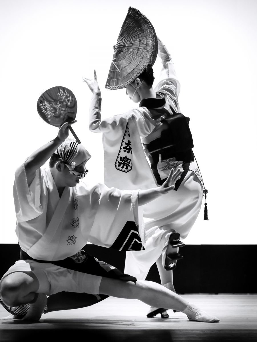 『優雅と艶やかさscene15』 | GANREF