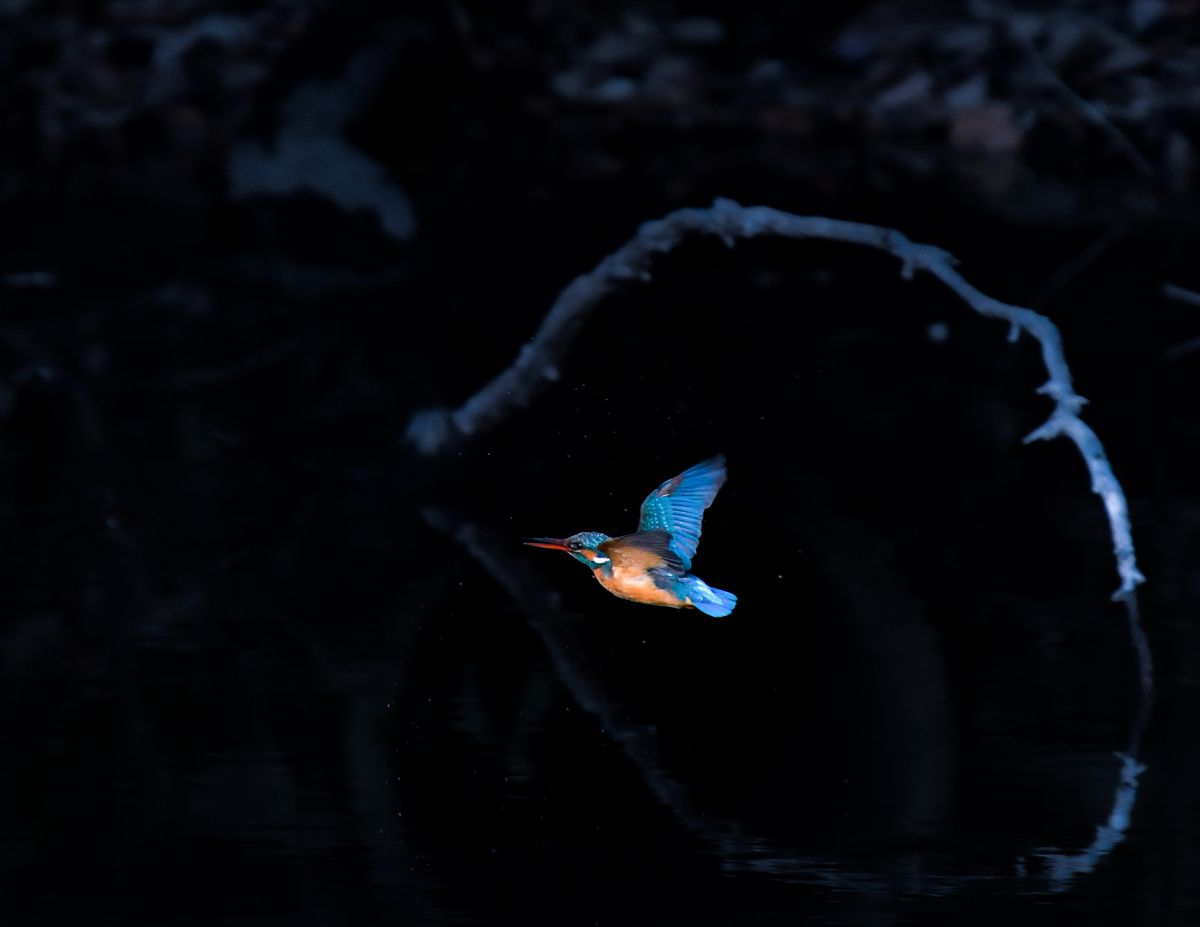 『三月の翡翠 vol.10』 | GANREF