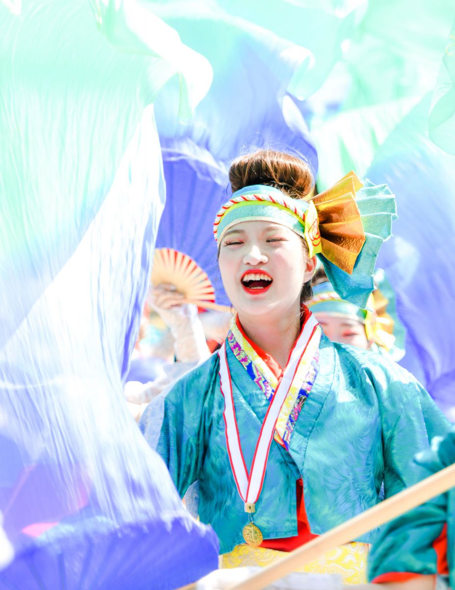 『華やかに舞い踊るvol.8』 | GANREF