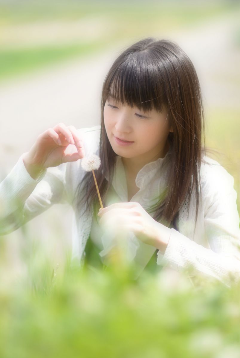 たんぽぽ | GANREF