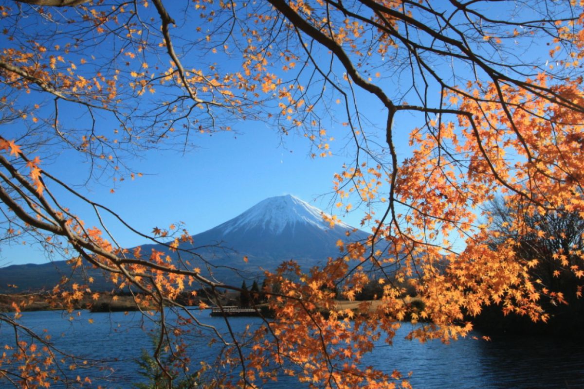 Mt.Fuji | GANREF