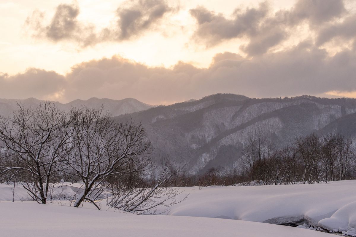 沈黙の夜明け | GANREF