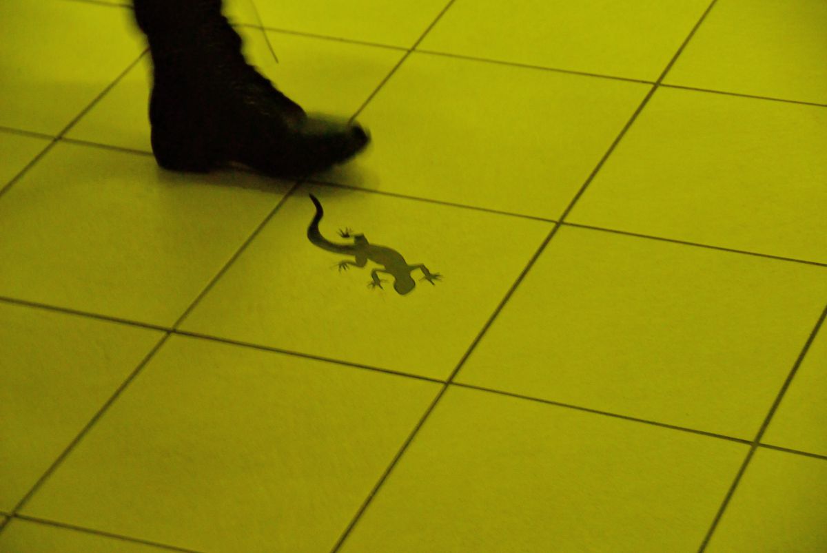 あっ！危ない！！ | GANREF