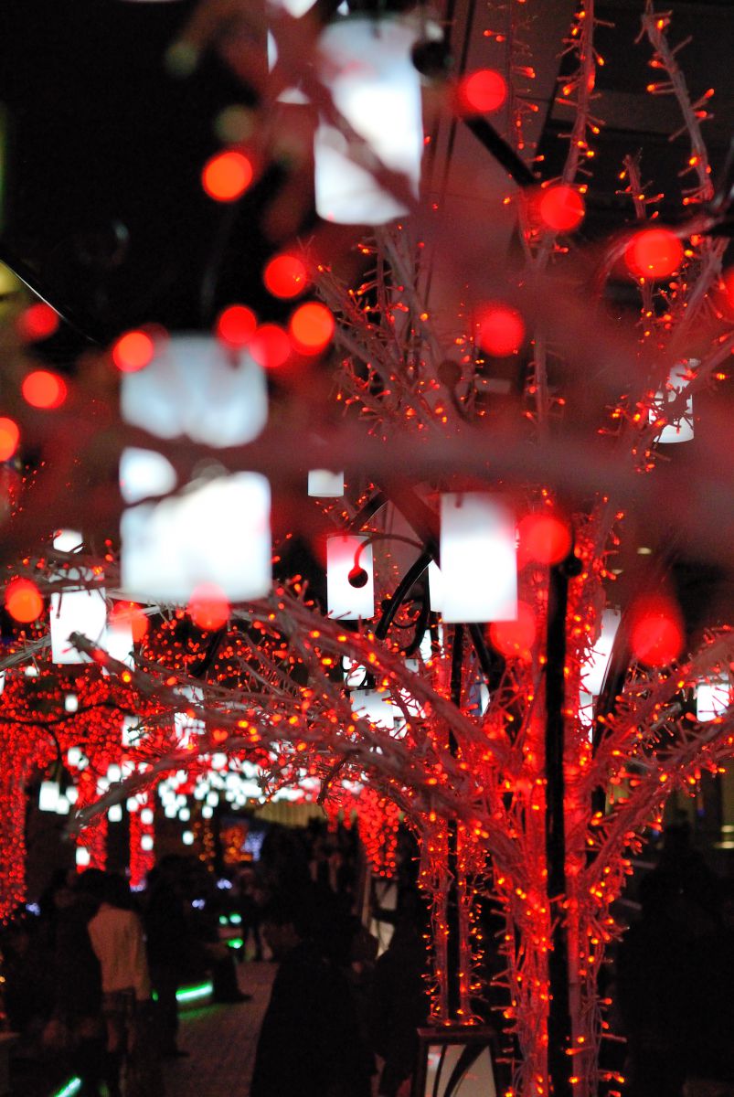 LIGHTS PROMENADE-Ⅰ | GANREF