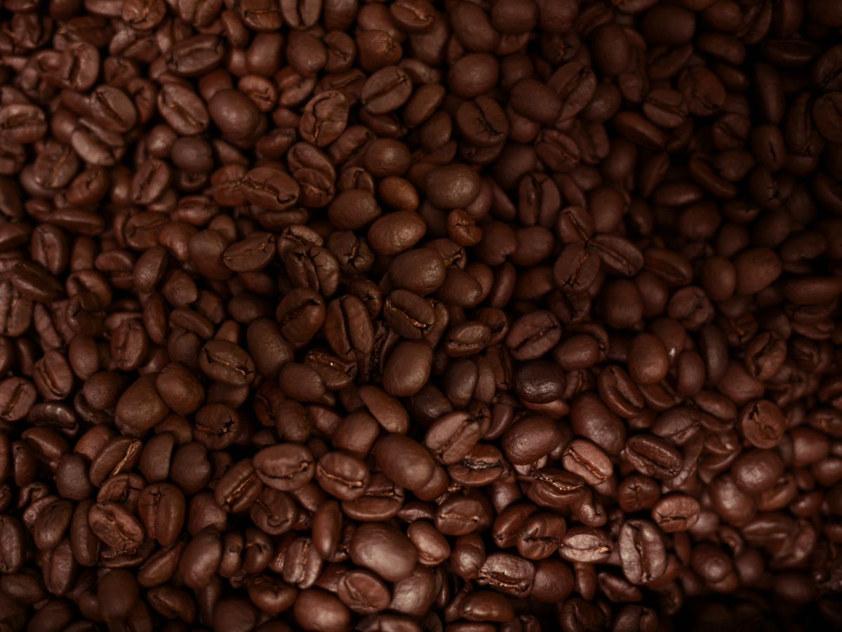 coffee beans | GANREF
