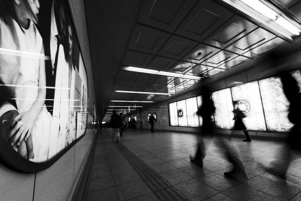 City Phantom | GANREF