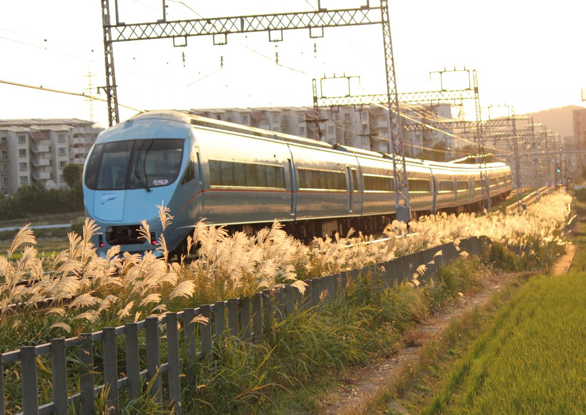 すすきに囲まれたMSE | GANREF