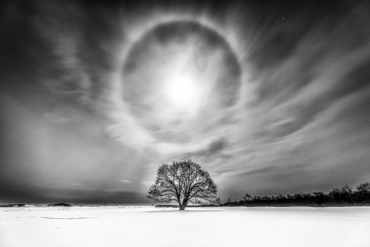 Angel's ring | GANREF