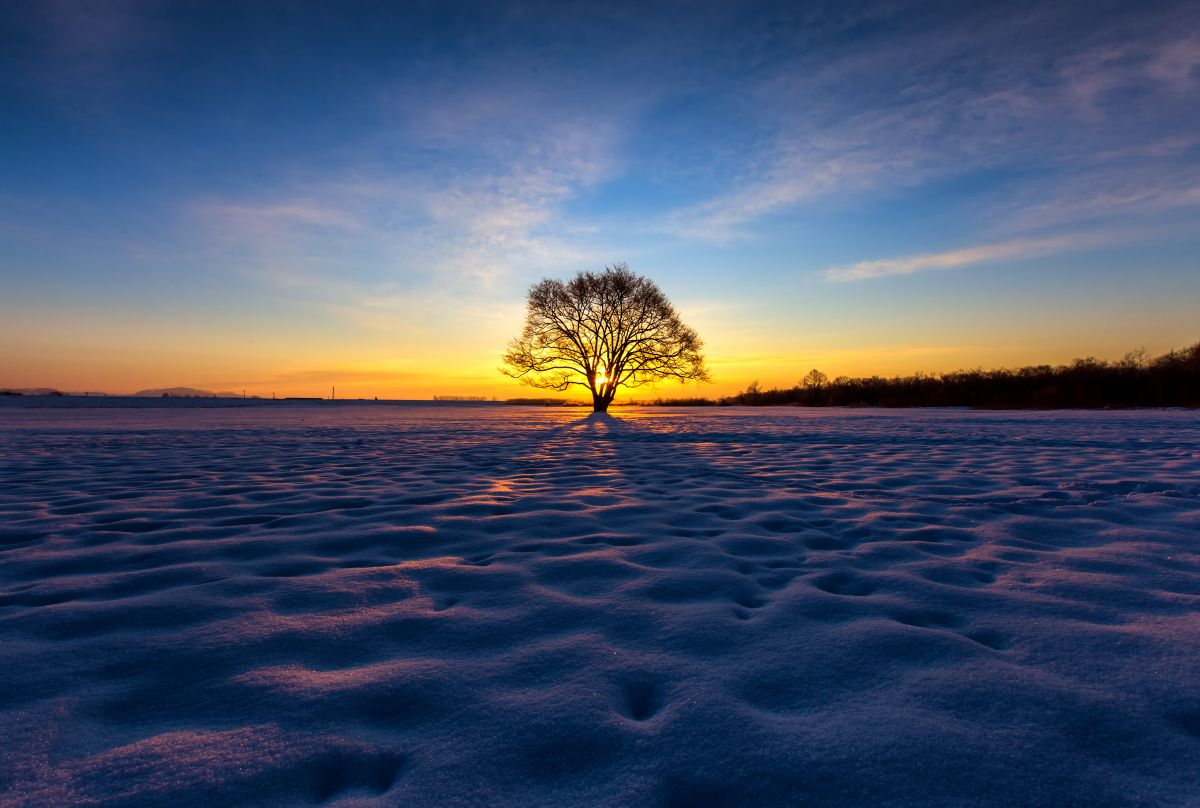 Winter dawn | GANREF