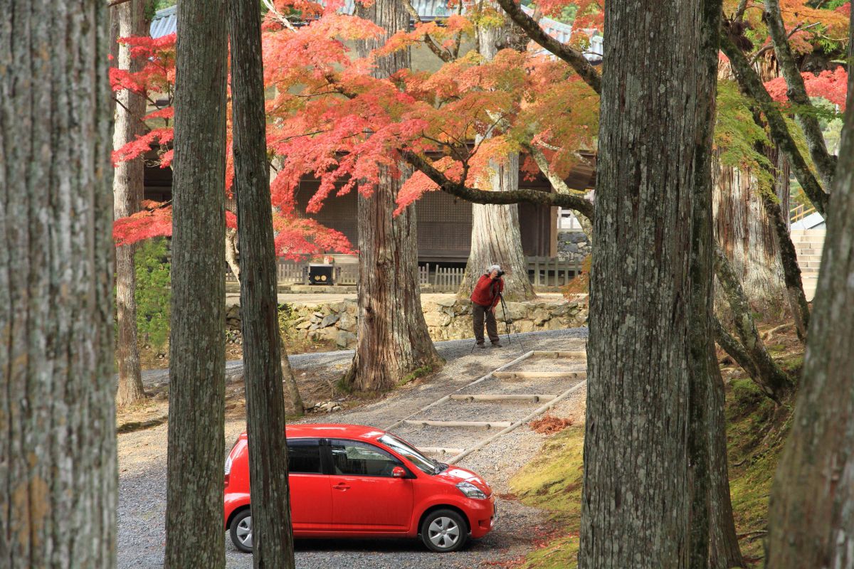 Red ＋ Red | GANREF