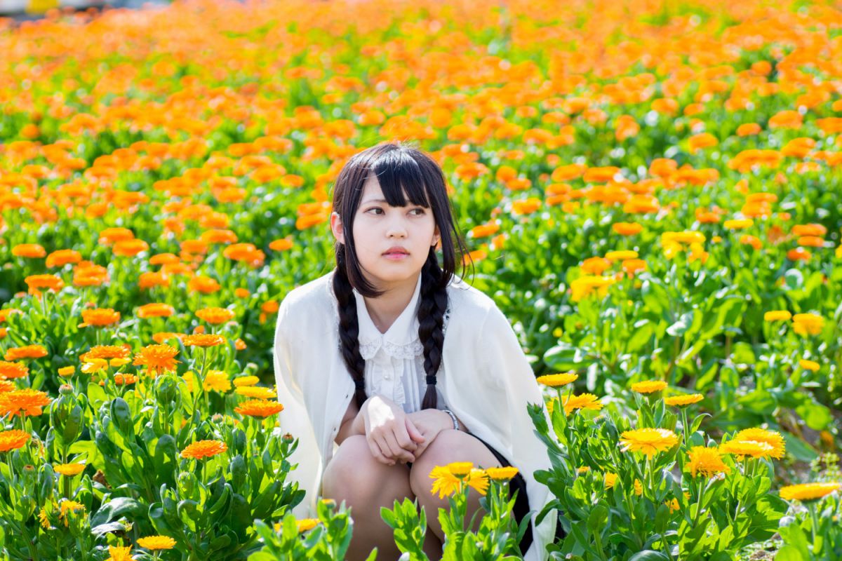 美少女×花 | GANREF