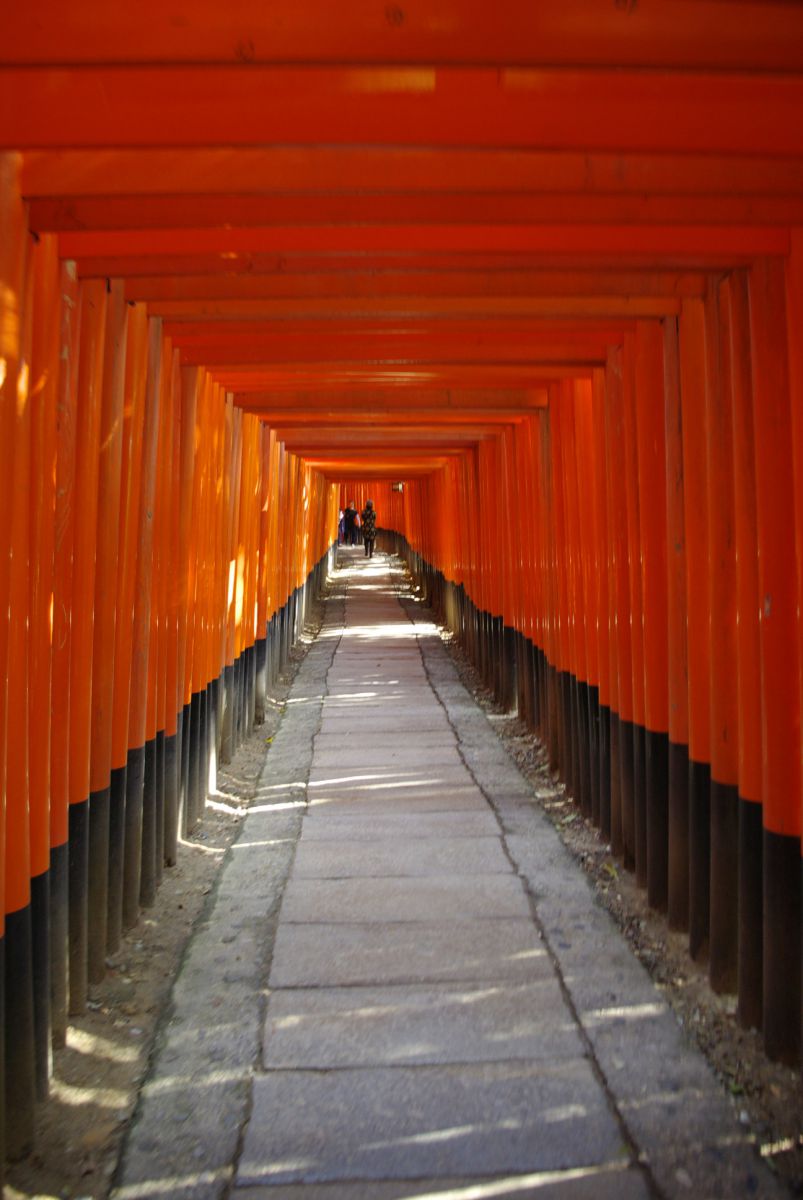 __IGP0595-2.jpg | GANREF