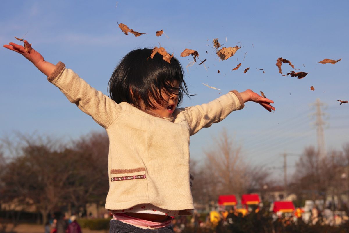 The wind blows | GANREF