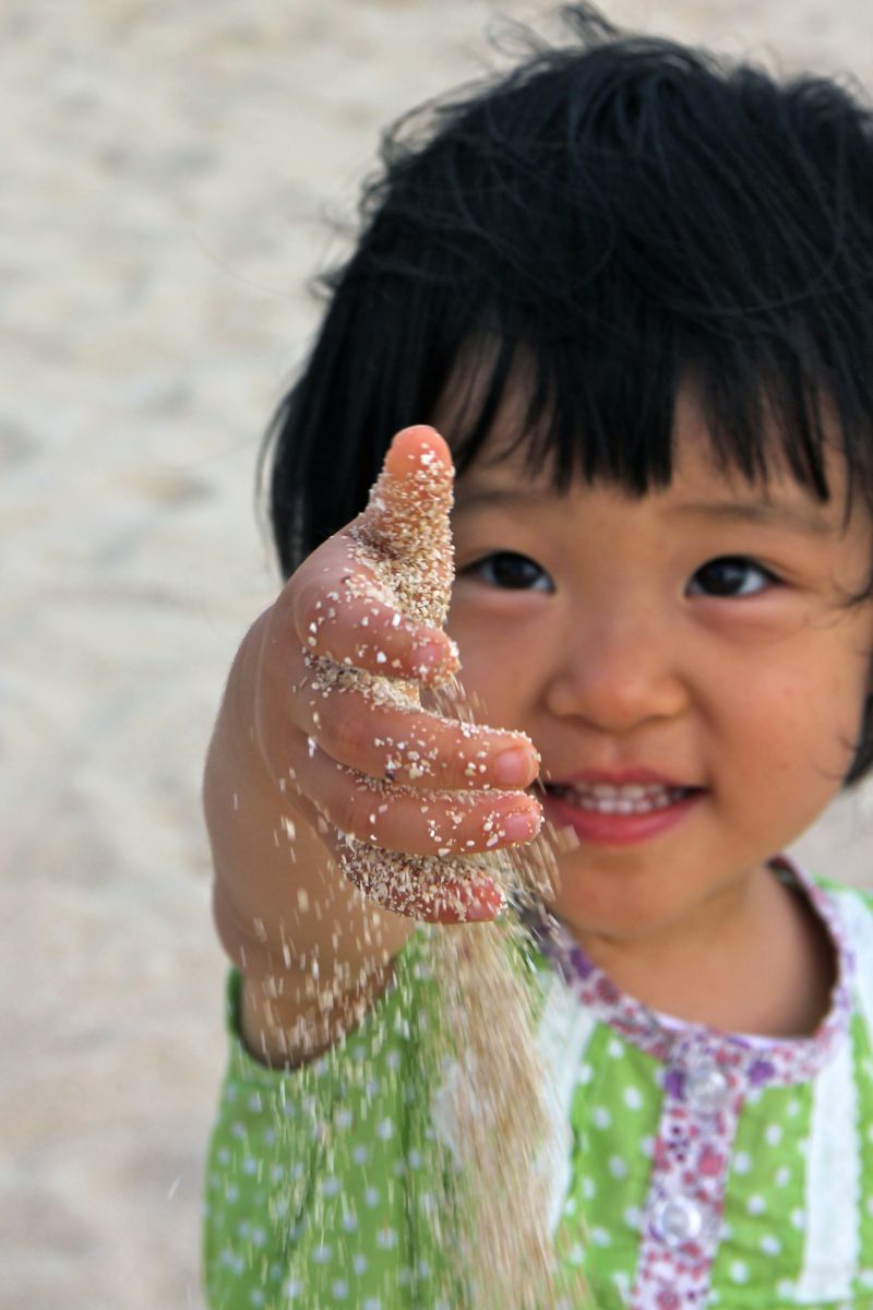 一握の砂 | GANREF