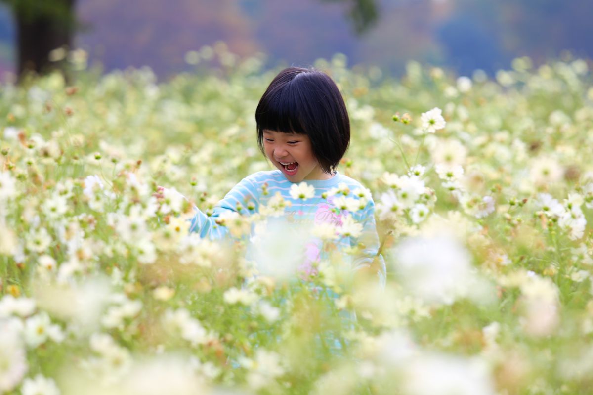 Yellow Dream | GANREF