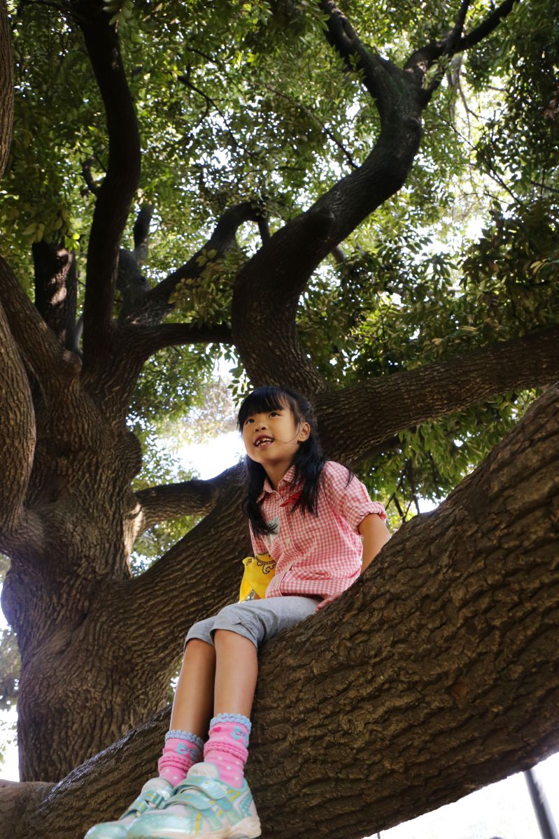 On the tree | GANREF