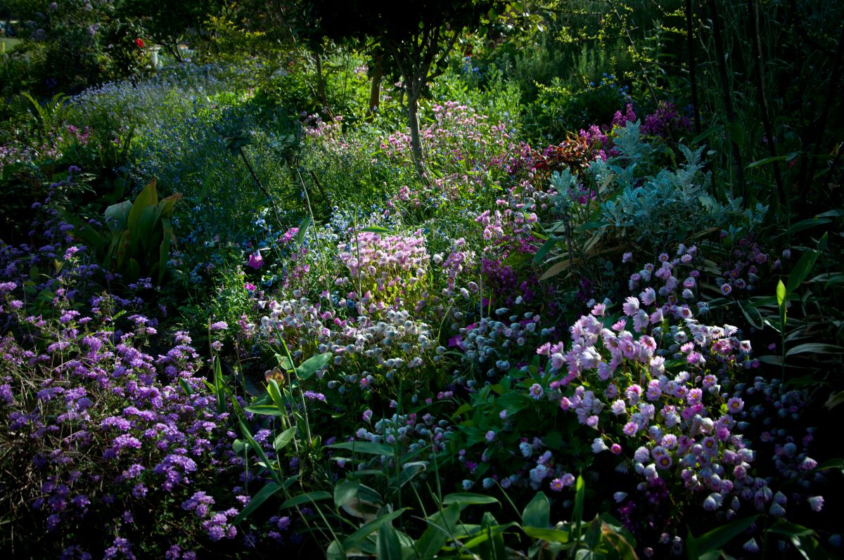 Dramatic garden | GANREF