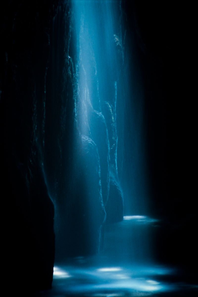 Hidden beauty | GANREF