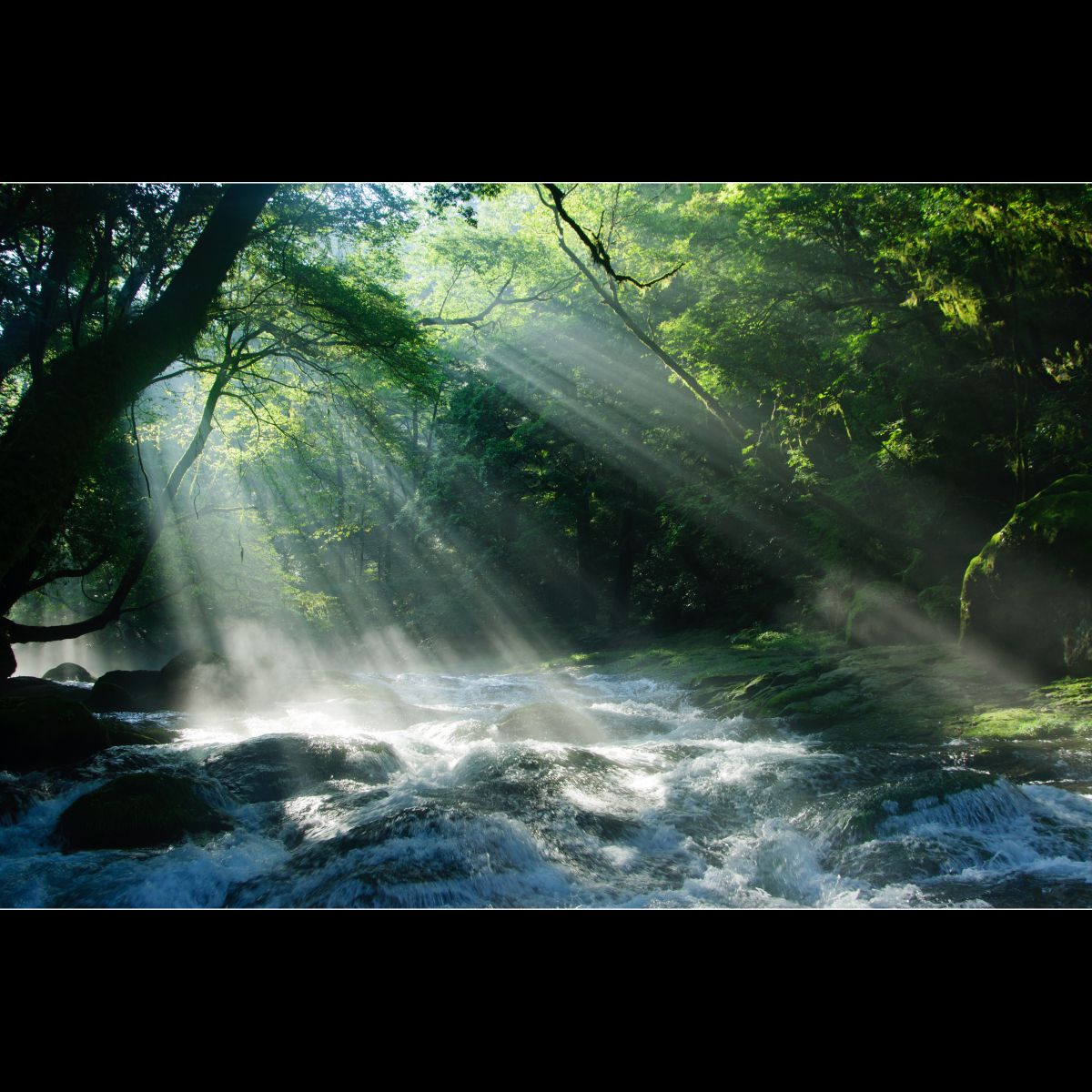 Shadow casting | GANREF